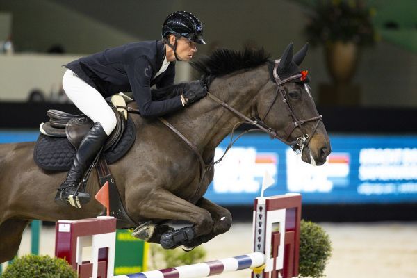 Zangersheide Triumph: Four Horses Victorious in 's-Hertogenbosch